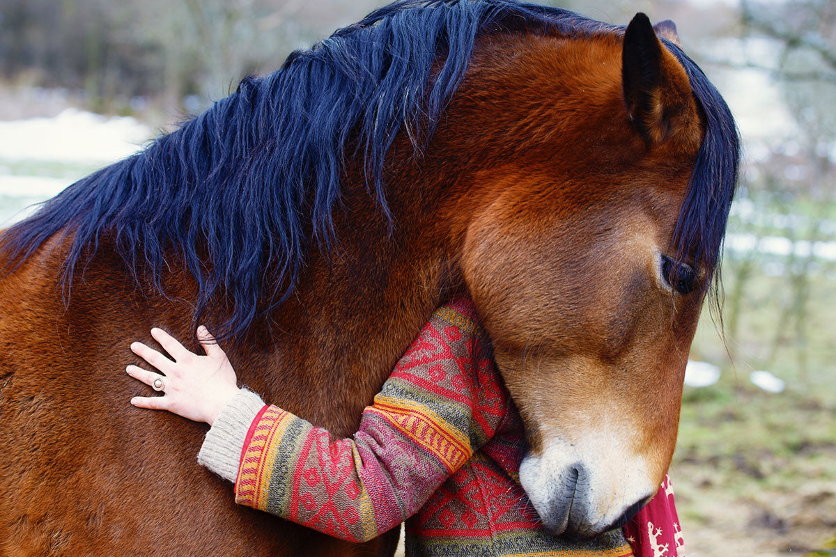 Tips on strengthening your horse's immune system – Cavalor Direct
