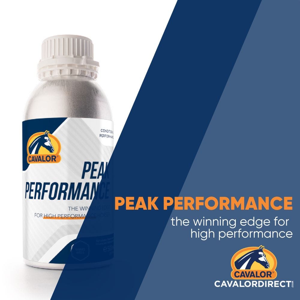 Cavalor Peak Performance – Cavalor Direct