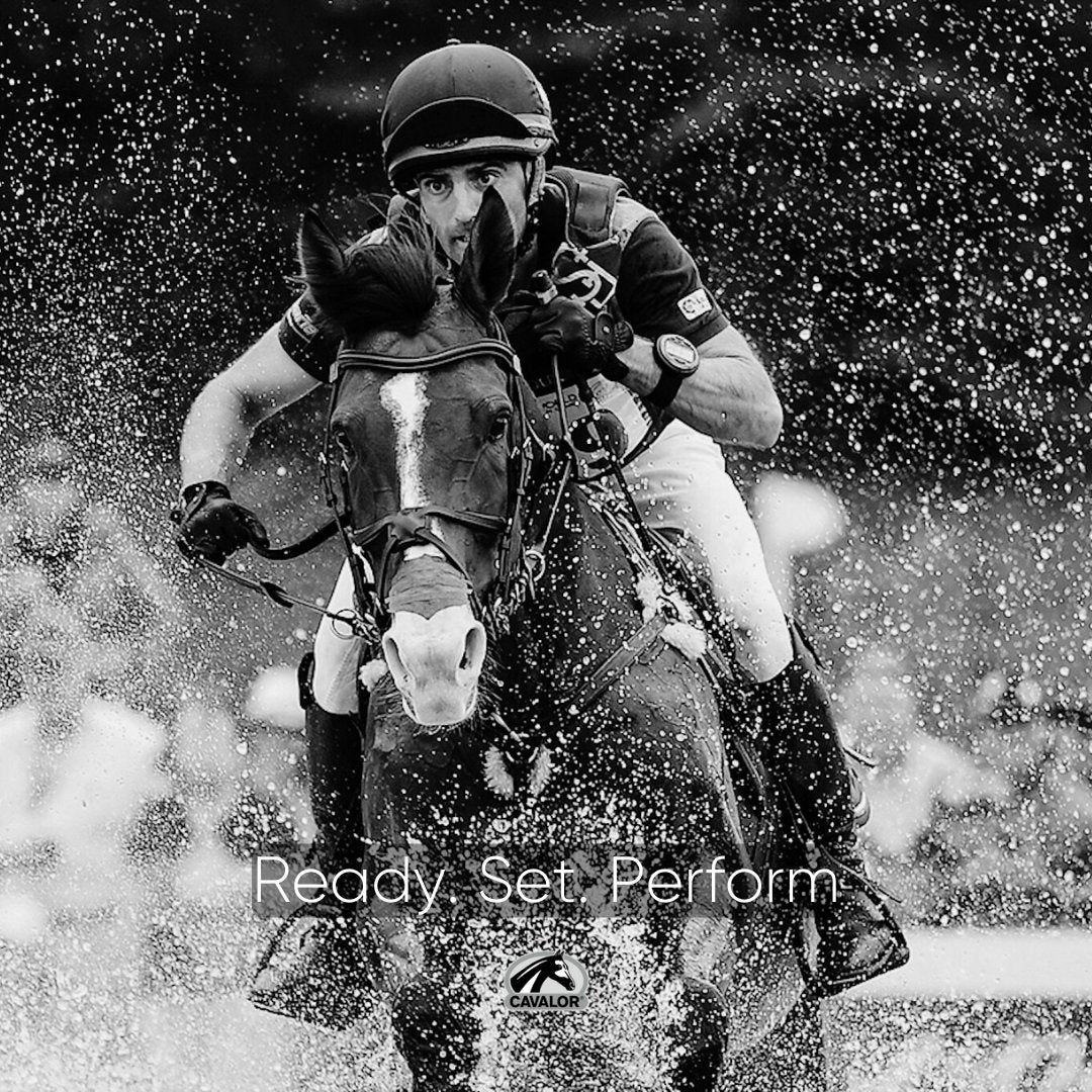 Cavalor Switch – Cavalor Direct