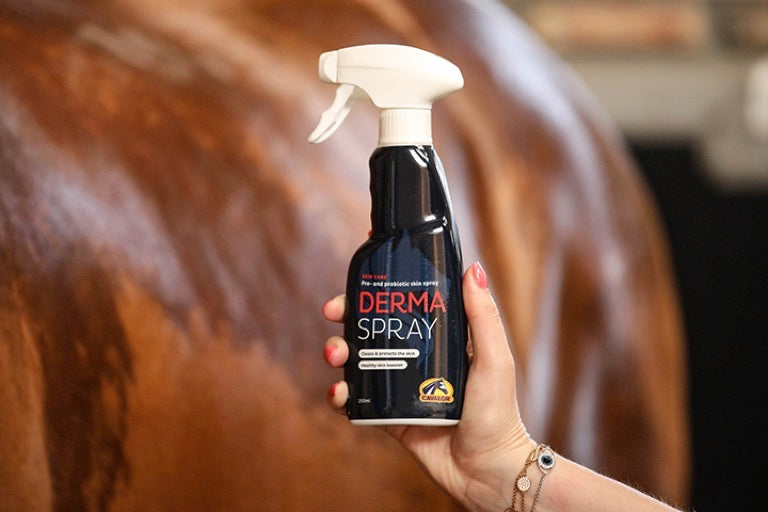 Cavalor Derma Spray – Cavalor Direct