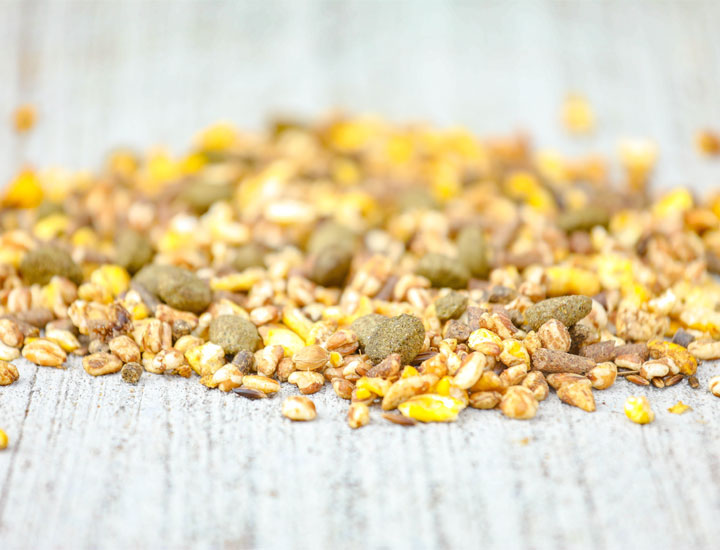 Cavalor Superforce – Cavalor Direct